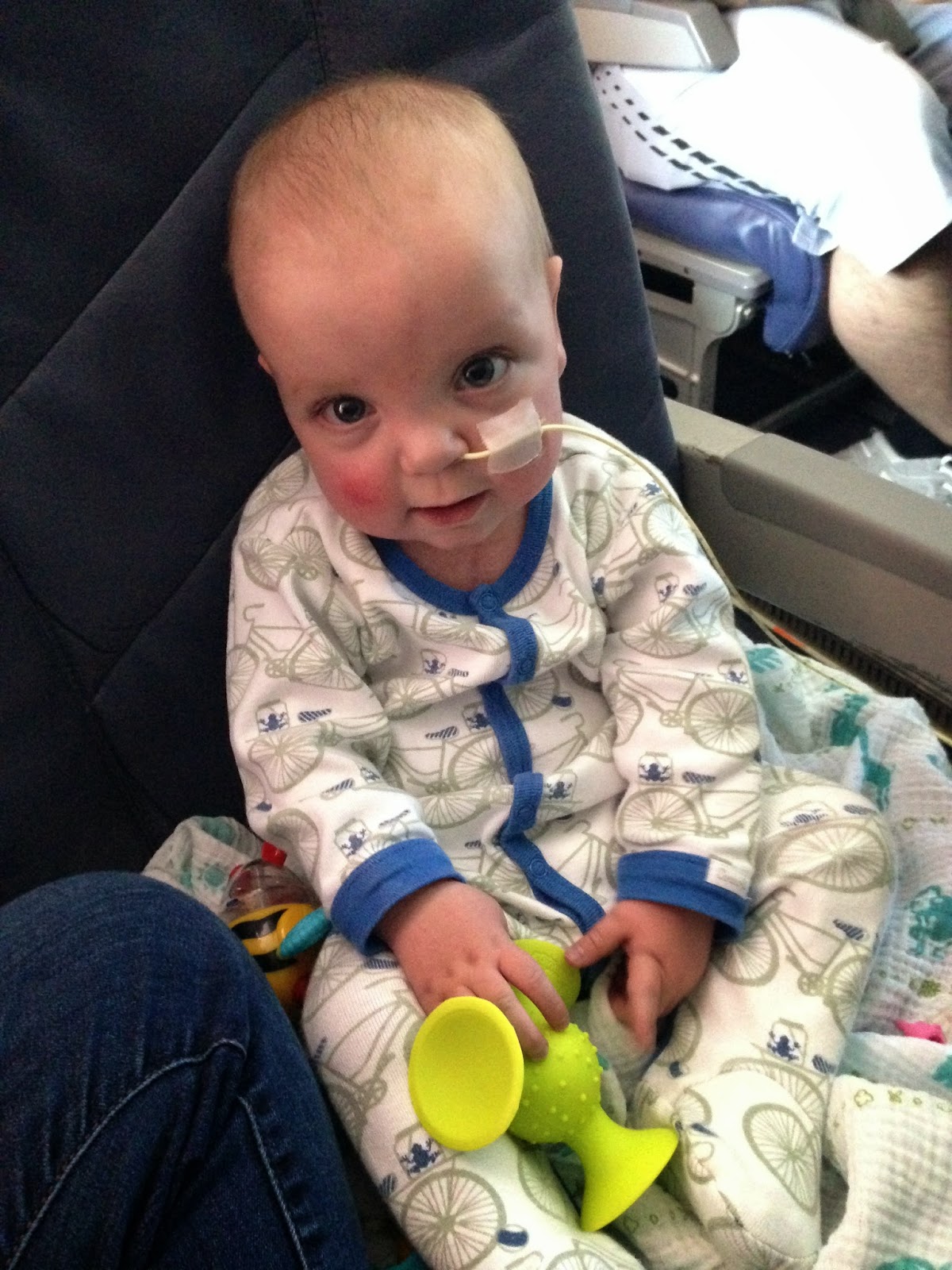 Bailey Beginnings: A Fresh Look at a New Life