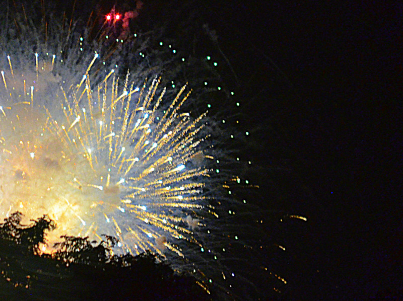 Westie Julep: Fireworks from our window