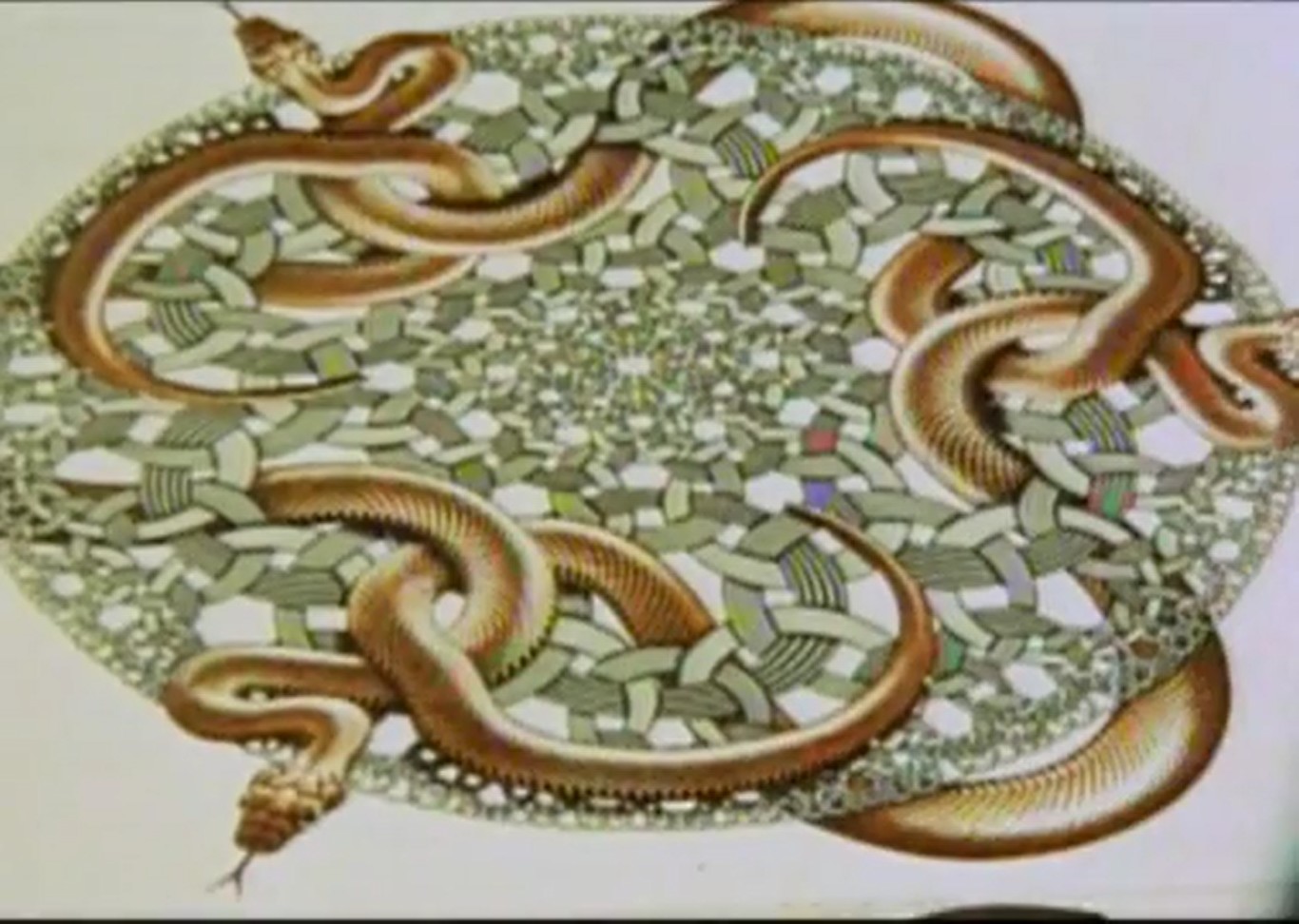 Metamorphose: M.C. Escher, 1898-1972