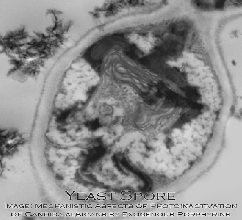 Rash After Using Neosporin at Jewel Jones blog