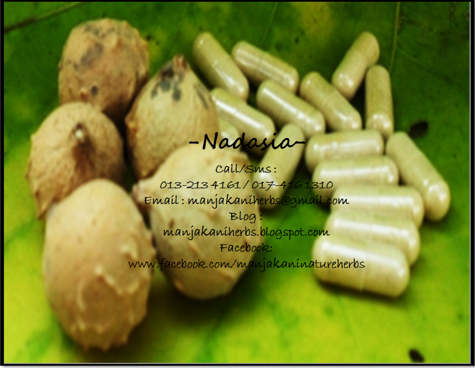 Manjakani Herbs: Kapsul Manjakani