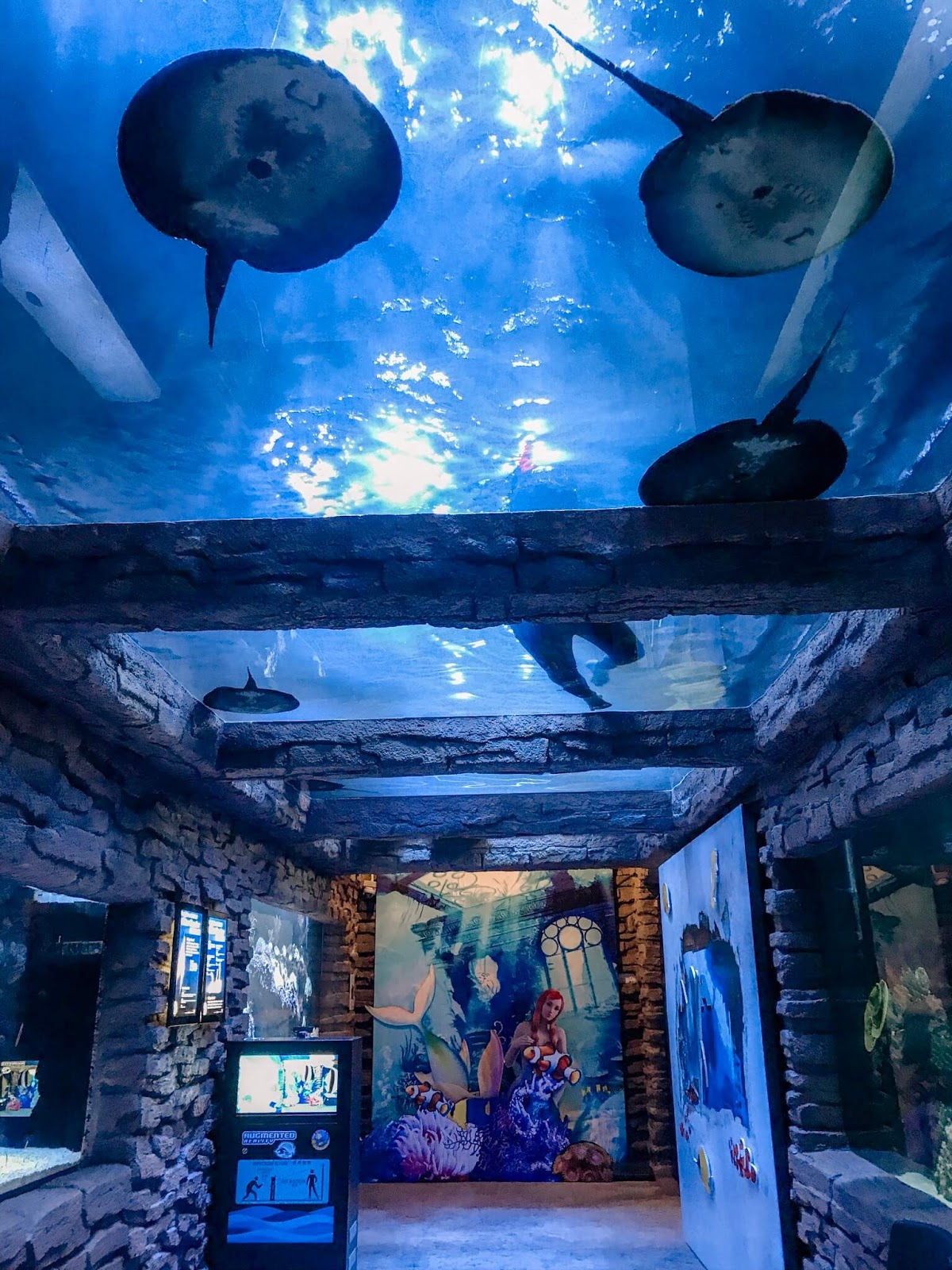 Bawa Anak Ke The Shore Oceanarium Melaka