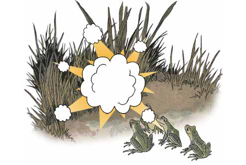 Kids Page: The Frog and the Ox Moral Story