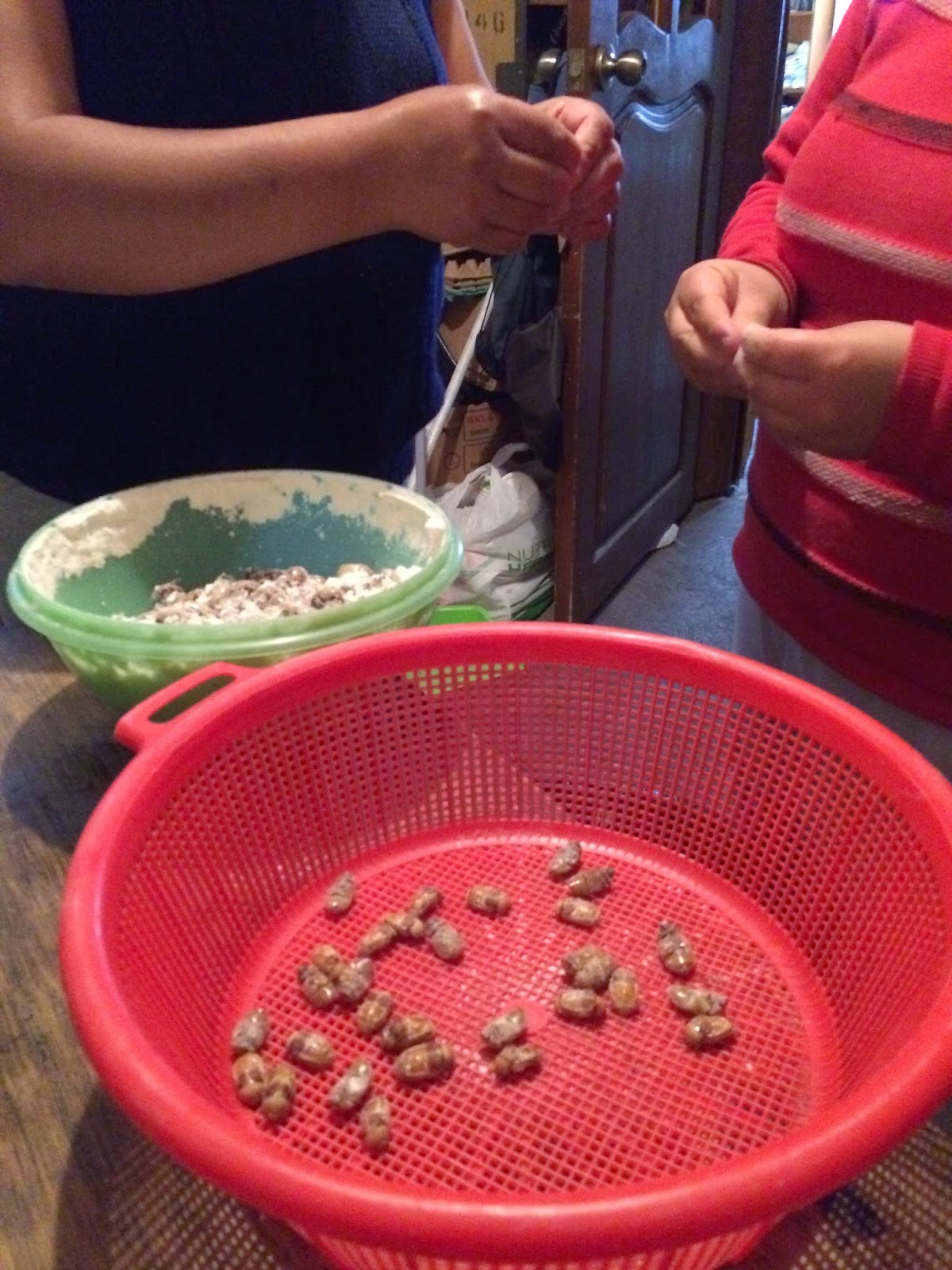 Esfuerzos en Ecuador: Estudio en el Extranjero: Producto 2: Los Catzos