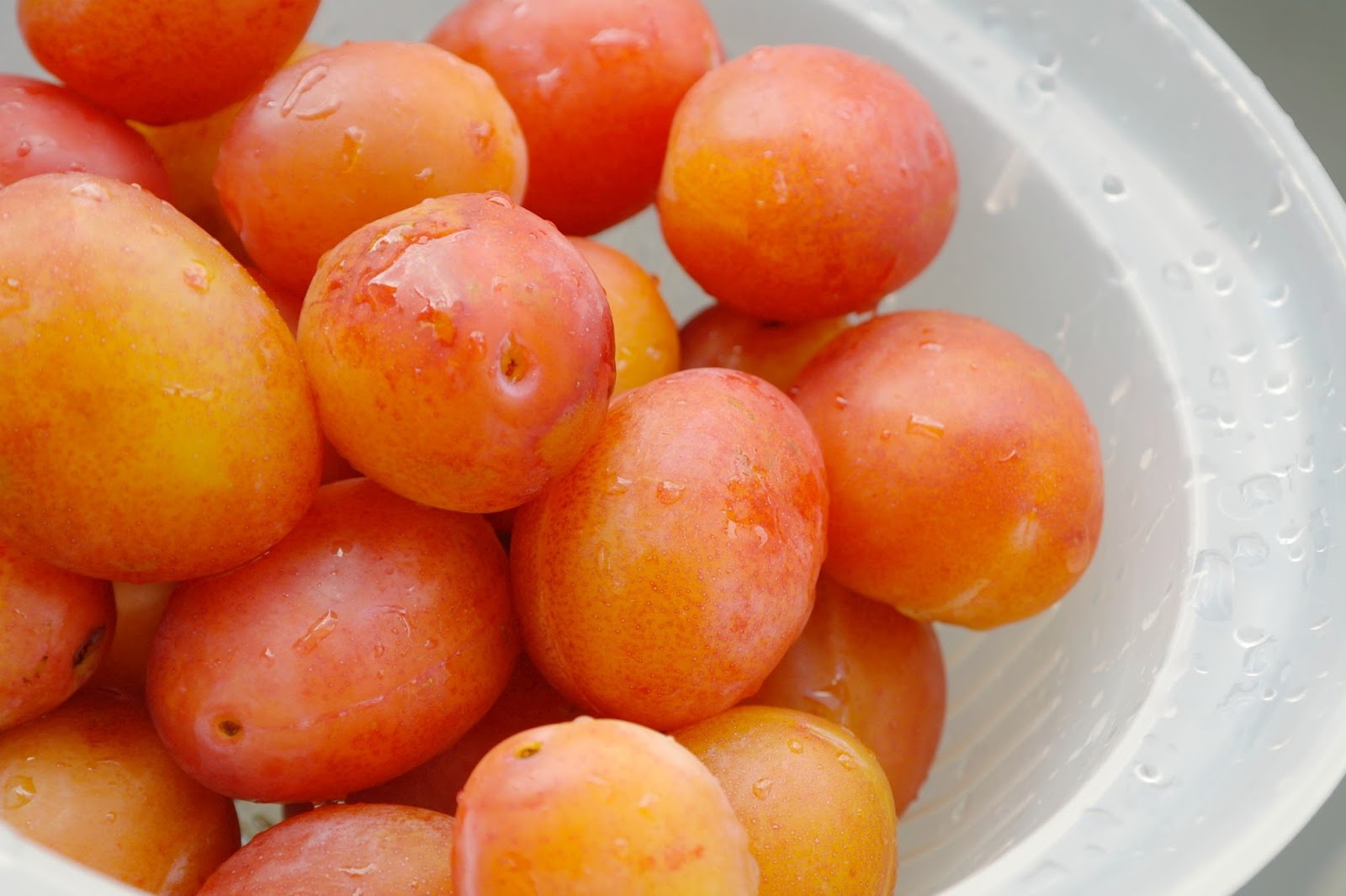 MÅRTENSSONS KÖK: Plommonmarmelad med stjärnanis