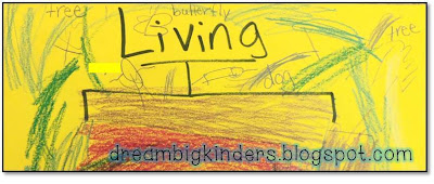 Dream Big Kinders: Living vs. Nonliving