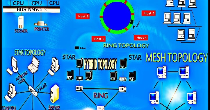 Explain Network Topology Types Of Topology Topology Examples No explain-network-topology-types-of-topology-topology-examples-no