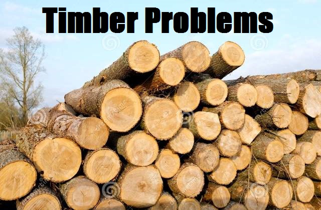 Thoughts to Promote Positive Action...: Timber Problems