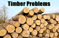 Thoughts to Promote Positive Action...: Timber Problems