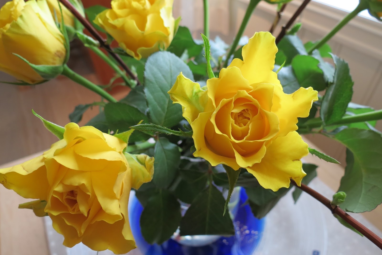 Lillians hage: Gule roser pyntet med greiner av skjærsmin