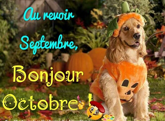 Escuelas Plurilingües Francés: Bienvenue octobre!