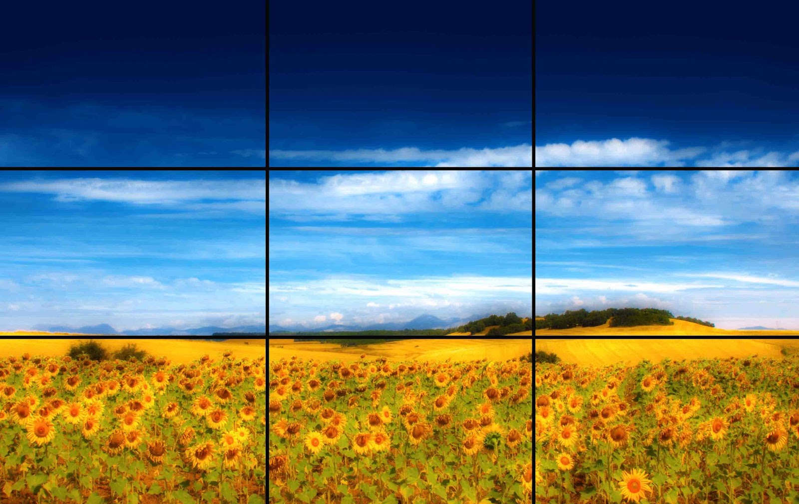 Adrian Natoli Michieli: Claudio Adrian Natoli - Tipos de composición ...