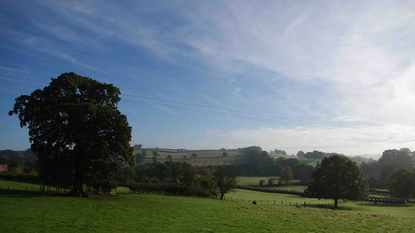 Out & About: Ellastone & Calwich Abbey