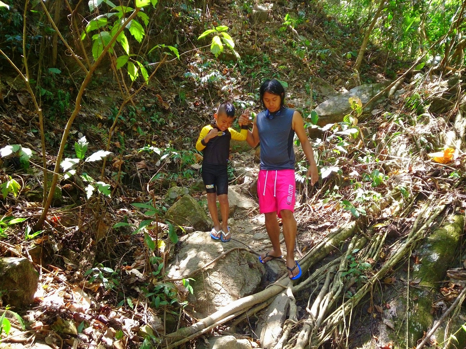 Things to do in Talipanan Beach - Talipanan Falls