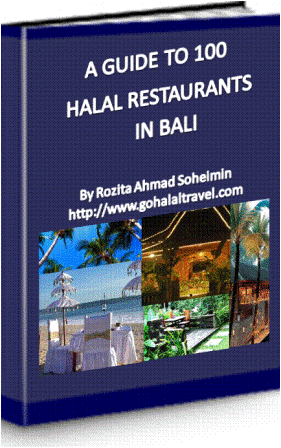 Go Halal Travel: Halal E-book