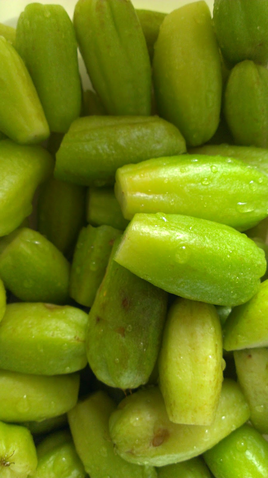 Pencinta Alam,Pemakan yang hebat Penyayang pada keluarga : Khasiat ...