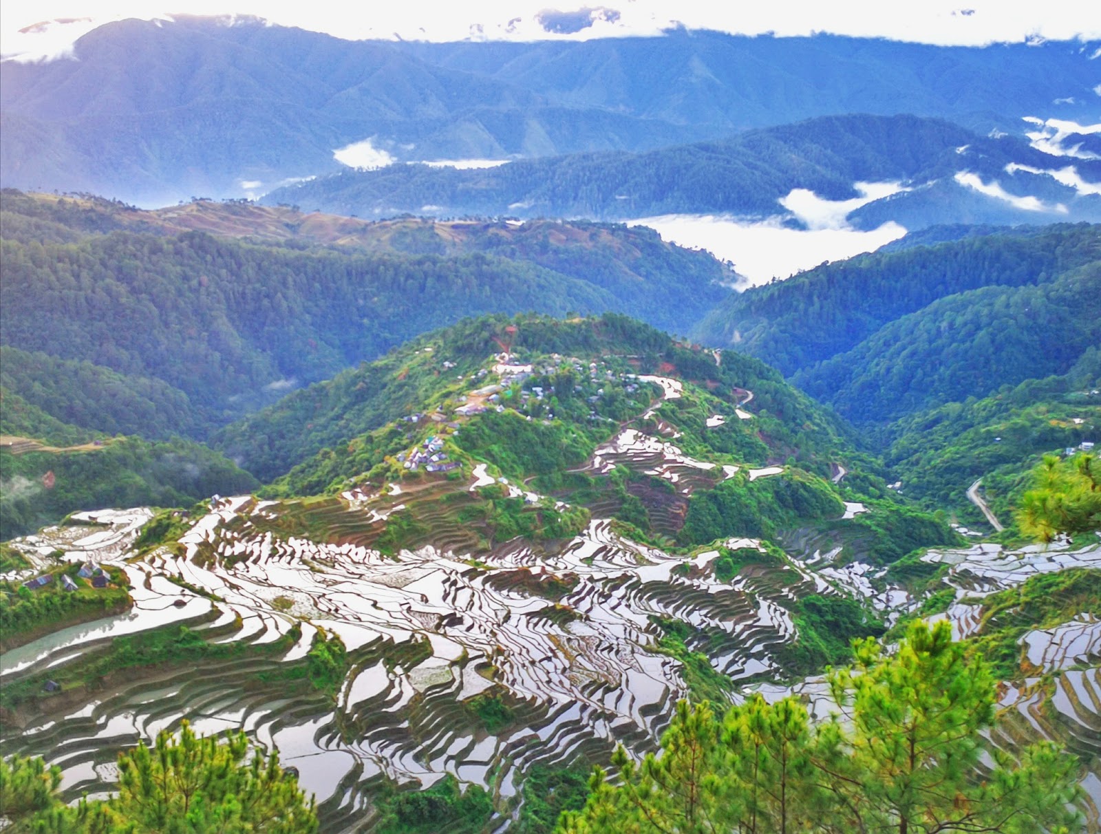 Maligcong Rice Terraces: The Wonderful Gem of Bontoc - The Pinoy Traveler