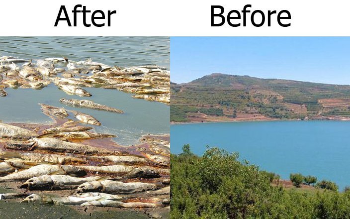 MOUNTDWELLER: Keringnya Mata Air Zughar dan Danau Thabariyah. Apa maknanya?