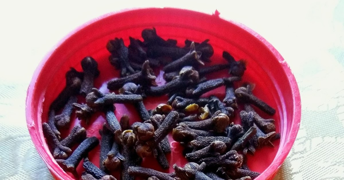 BREAKING THE IMPOSSIBLE : 10 KHASIAT dan Kebaikan Bunga Cengkih