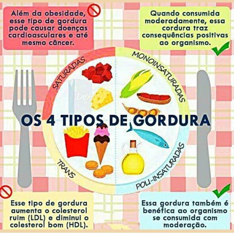 Os 4 Tipos de Gordura