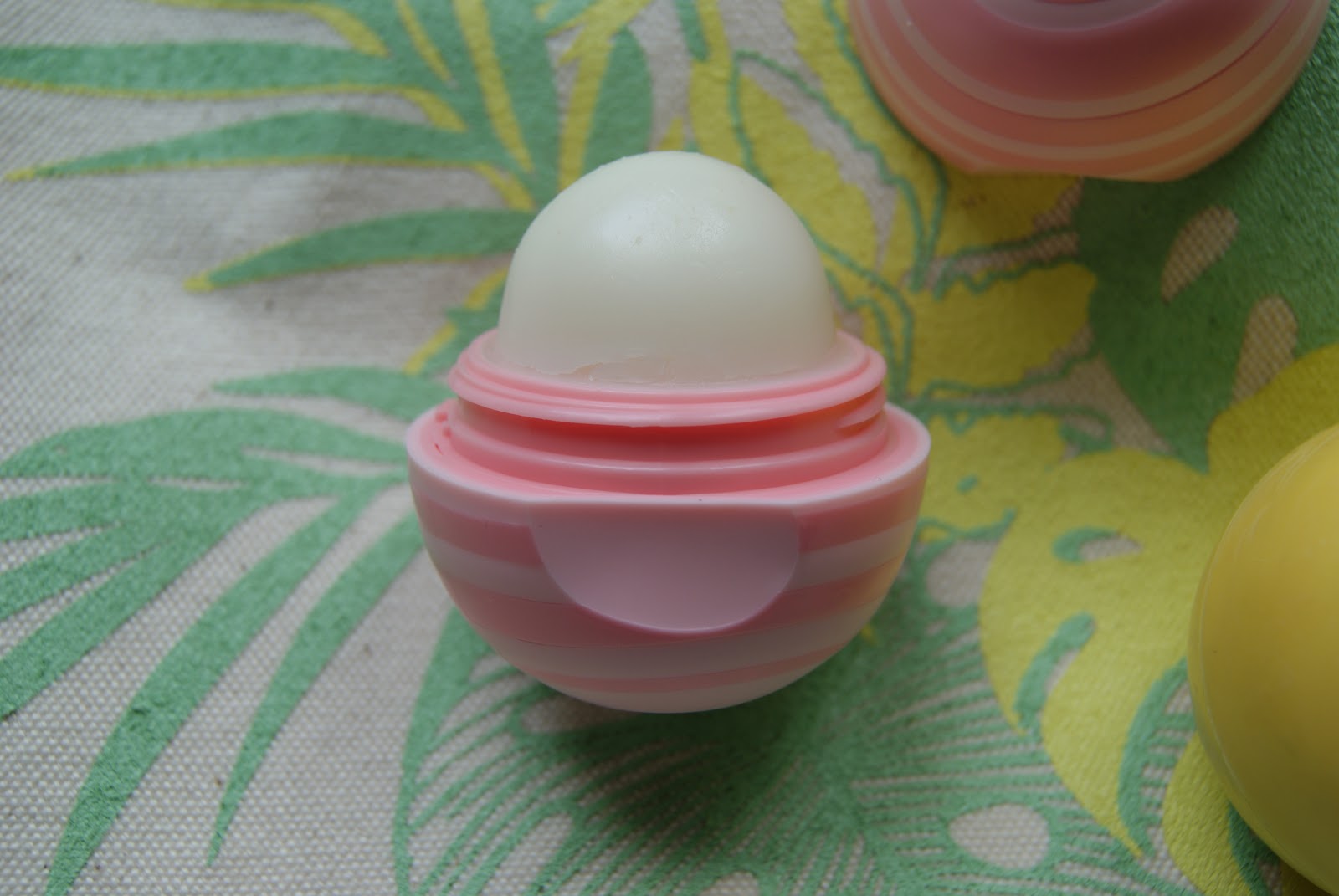 EOS, ces drôles de petits oeufs - à la lumière du jour