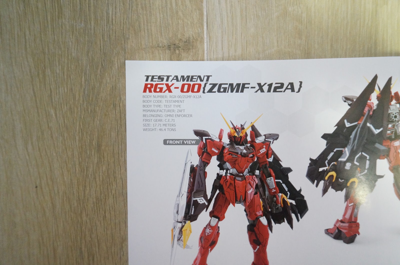 Manpig's Collection: Dragon Momoko MG Testament Gundam Review