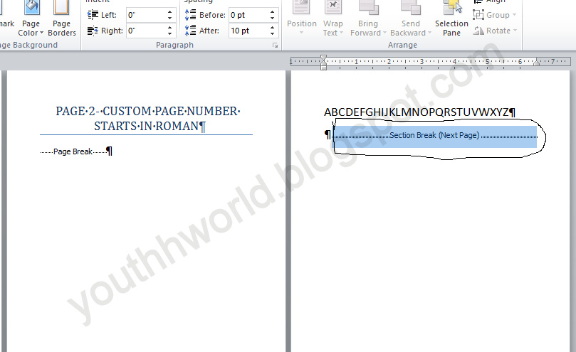 Custom Page numbers in Microsoft office word