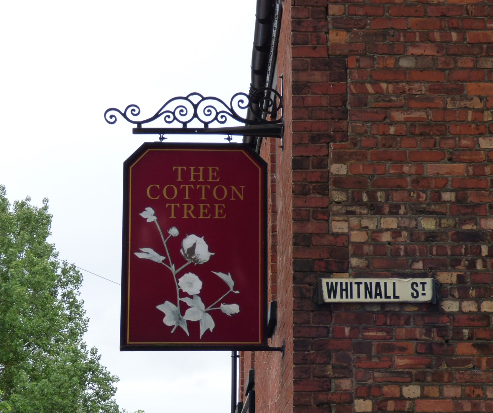 Hyde Xtra: The Cotton Tree