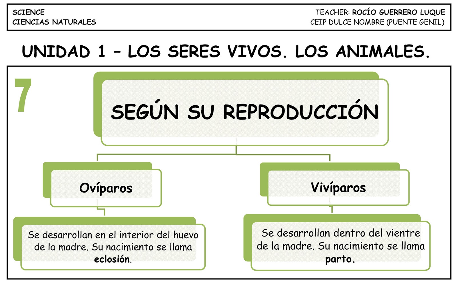 SCIENCE 3rd - C. NATURALES Y C. SOCIALES: UNIDAD 1 (NATURALES ...