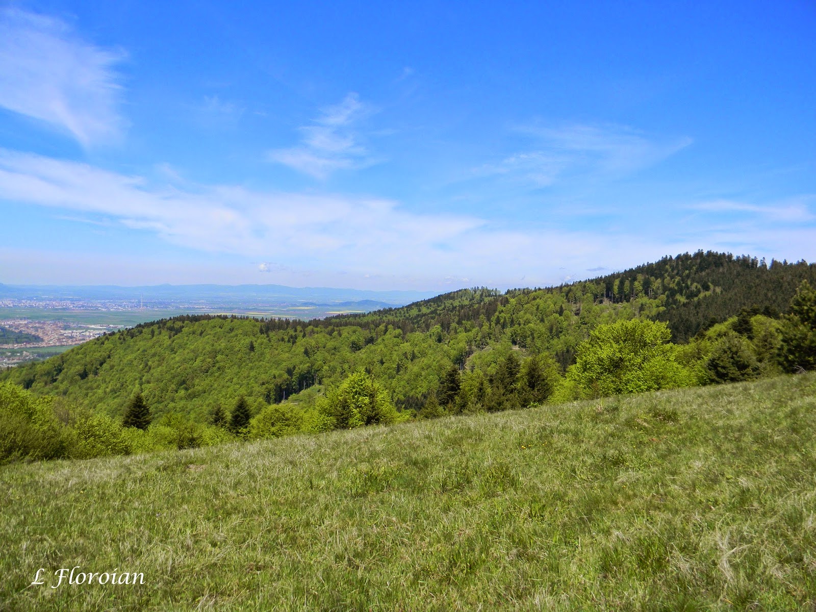 Blog de Calatorii si Drumetii Montane.: Drumetie pe dealurile de langa ...