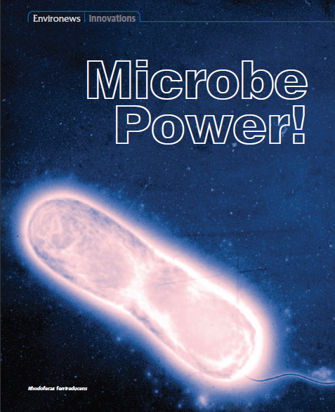 Rhodoferax - Alchetron, The Free Social Encyclopedia