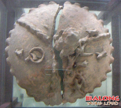 IBALONG - An Maogmang Kabicolan: LOKDO NIN LIBMANAN