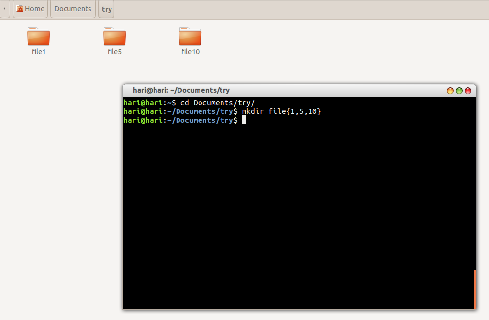 Technoric Creating Multiple Directories In Linux