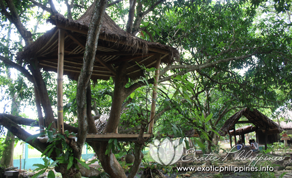 8 Sites to Check Out When You're in Argao - Exotic Philippines