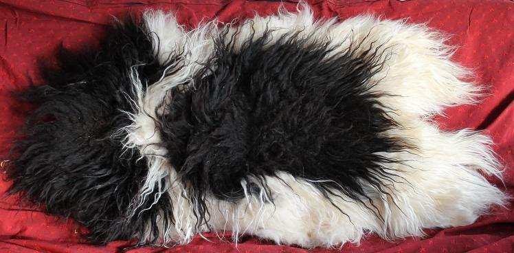 Stark Hollow Farm: Gorgeous Icelandic Sheep Skin Pelts