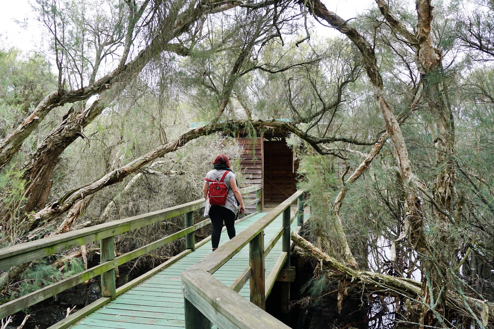 The Spectacles (Beeliar Regional Park) ~ The Long Way's Better