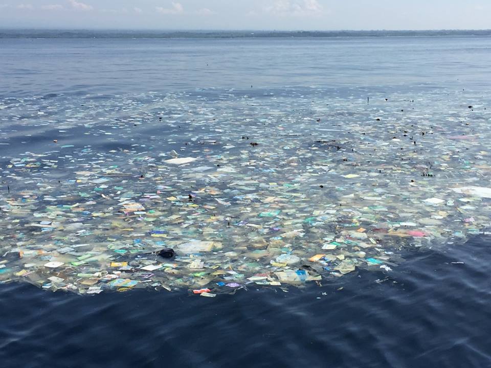 Voordierenblogger: De oceanen verdrinken in plastic....in 2050 is er ...
