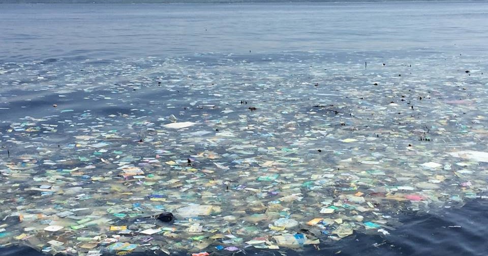 Voordierenblogger: De oceanen verdrinken in plastic....in 2050 is er ...