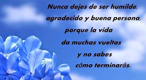 Frases de humildad - Nunca dejes de ser humilde.