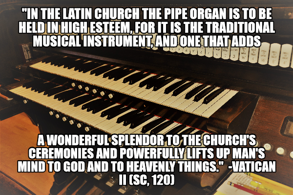 Organ Memes