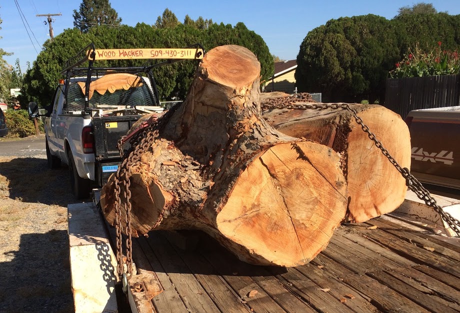 My Wood Carving Adventure