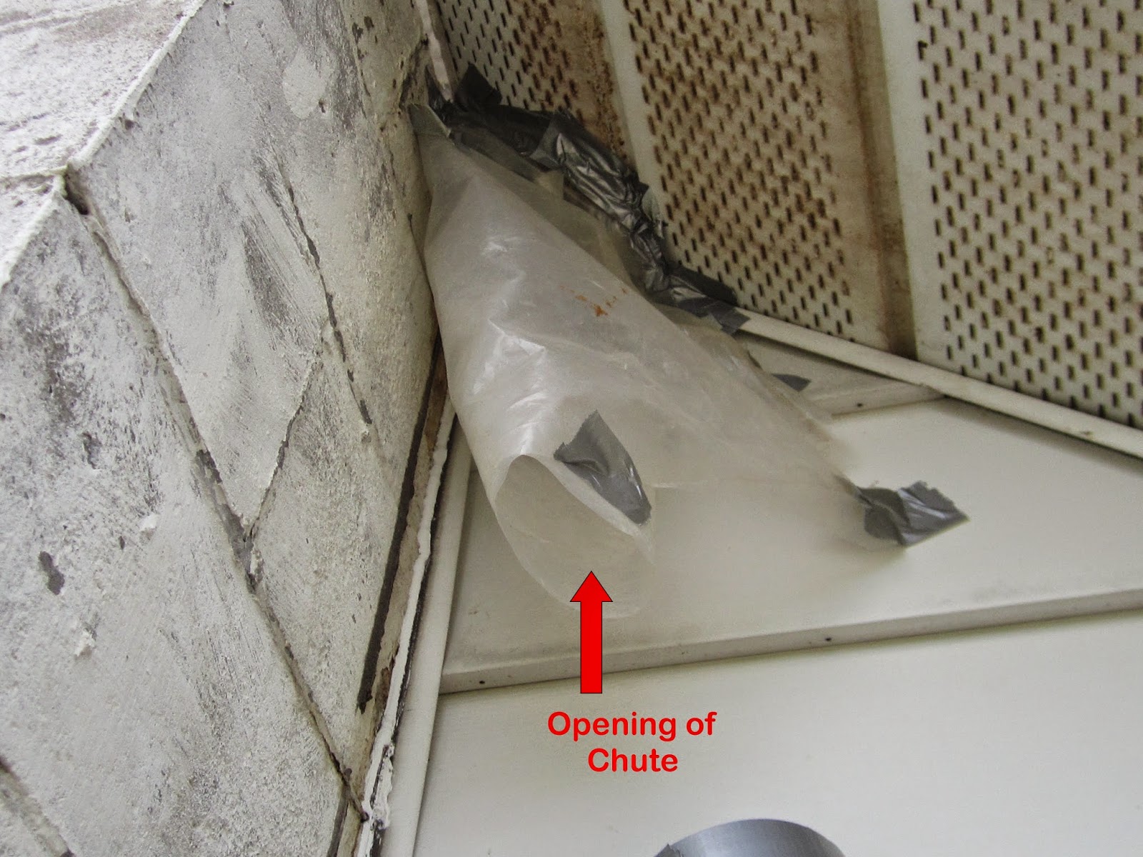 Bat Check 1st Blog: The Bats are Back: Tips for keeping them out of ...
