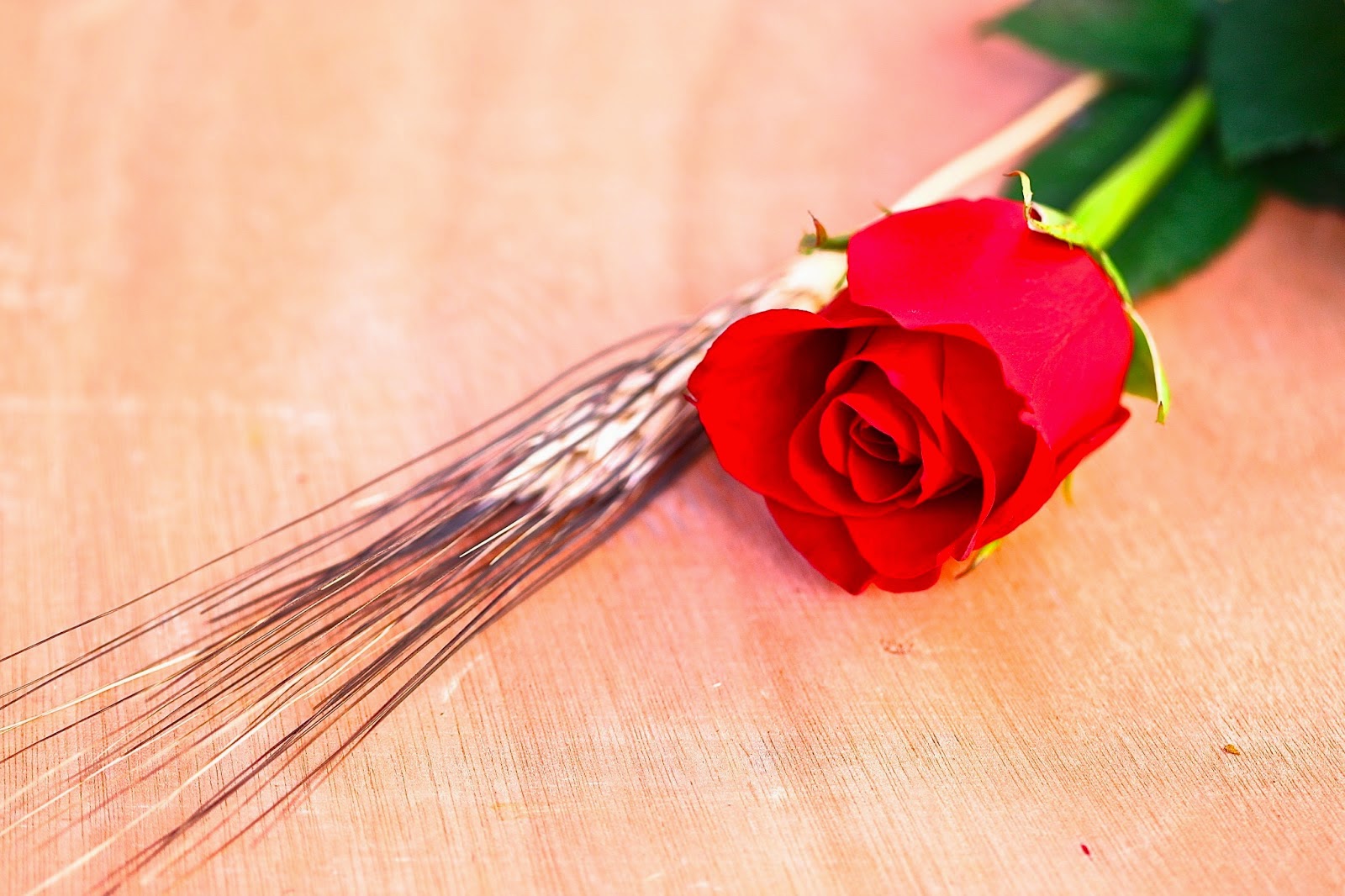 Repasando la Historia: ¿Porqué se regala una rosa en Sant Jordi?
