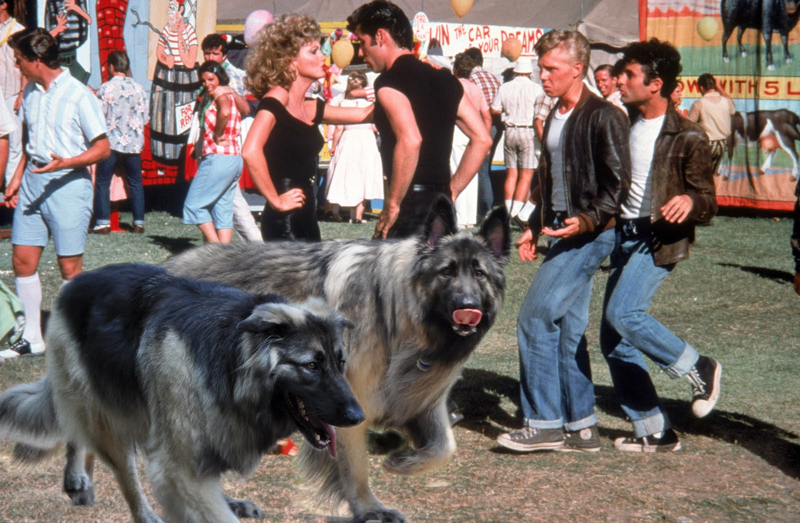 Cooper's Shiloh Shepherd Blog: Famous Movies - featuring ISSR Shiloh ...