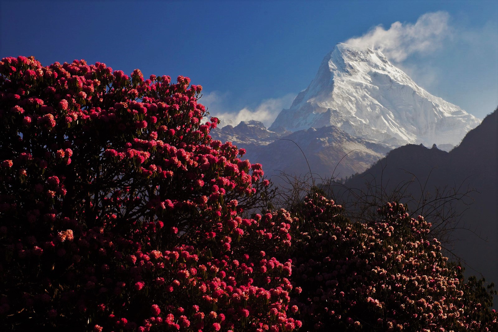 Preâmbulo: Laliguras, Nepal.