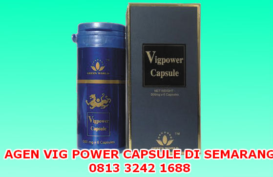Agen Resmi Vig Power Capsule di Kota Semarang - Agen Vig Power Capsule ...