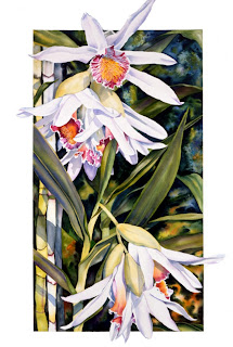 Коллекция картинок: Sally Robertson, акварель