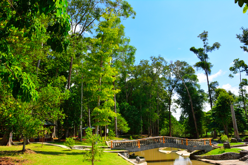 一个人的下午茶…..….旅游,美食, 摄影: 摄影 Taman Negeri Bukit Panchor I