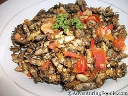 RIGHT FOR YOUR APPETITE: 2013